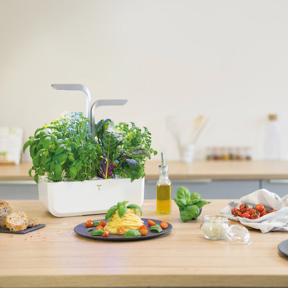 VERITABLE Smart Edition White, 4 Plants – Gusta Supplies