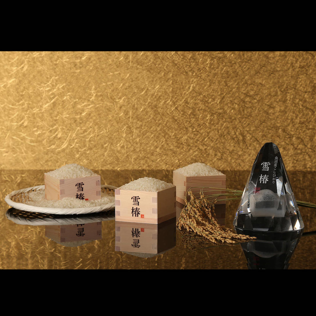 Koshihikari Japanese White Rice – Premium Grade, 5kg by Yuki Tsubaki ...